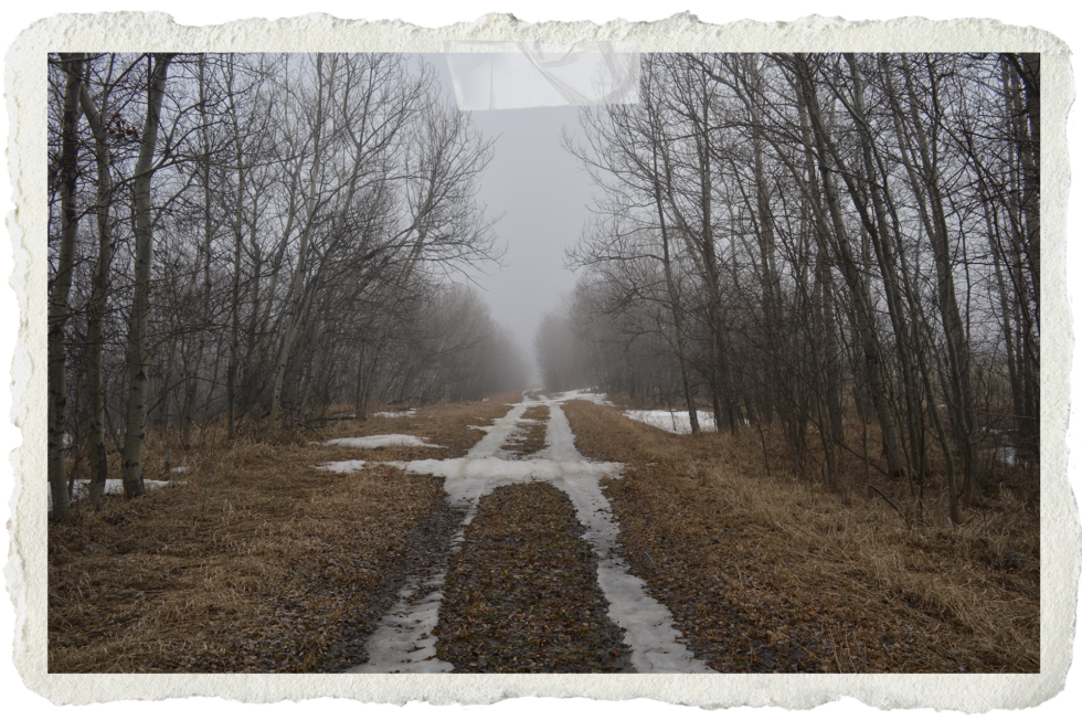 Exploring Land, Place, and Home: Five Writing Prompts - House of Fenrich